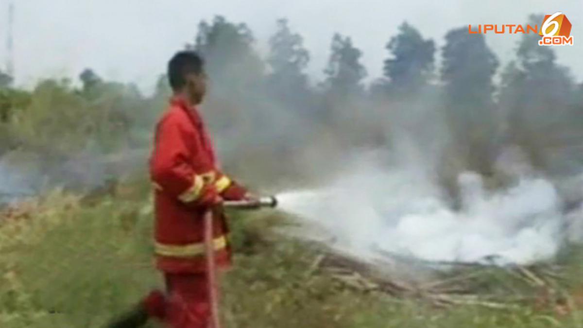 [video] Kebakaran Lahan Di Riau Makin Meluas News