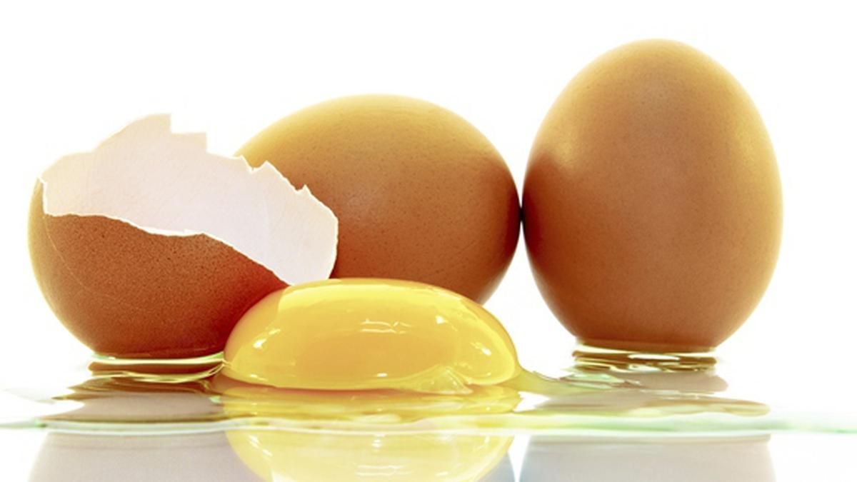 5 Fakta Tentang Telur yang Sering Anda Abaikan - Beauty Fimela.com