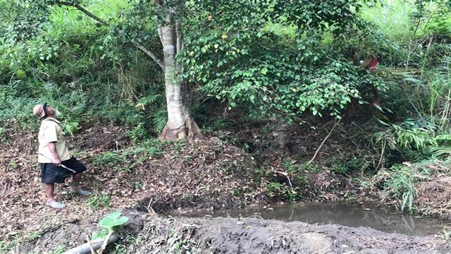 Mbah Sadiman, Sang Penyelamat Lingkungan di Lereng Gunung Lawu - Health ...