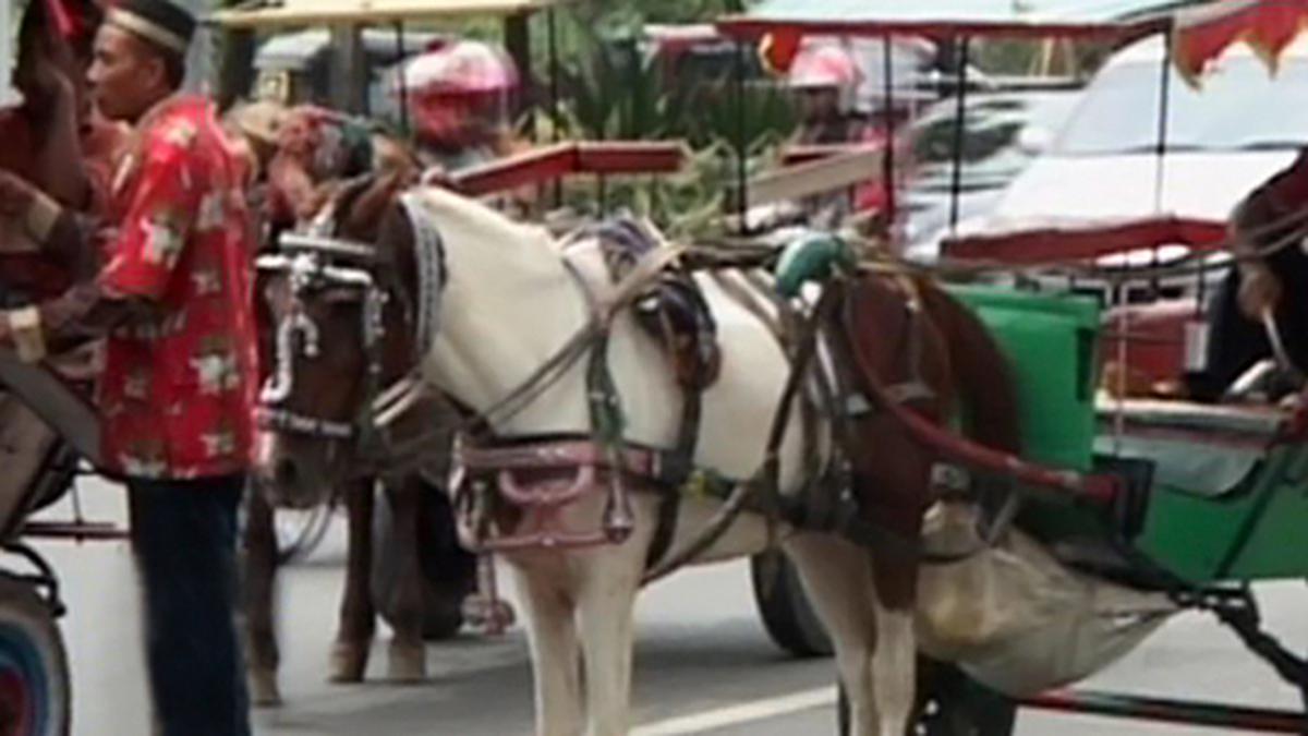 Charles Theodore Deeleman, Insinyur Inspirasi Delman - Video Liputan6.com