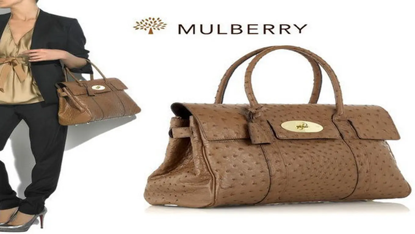 Mulberry tas yang luar biasa
