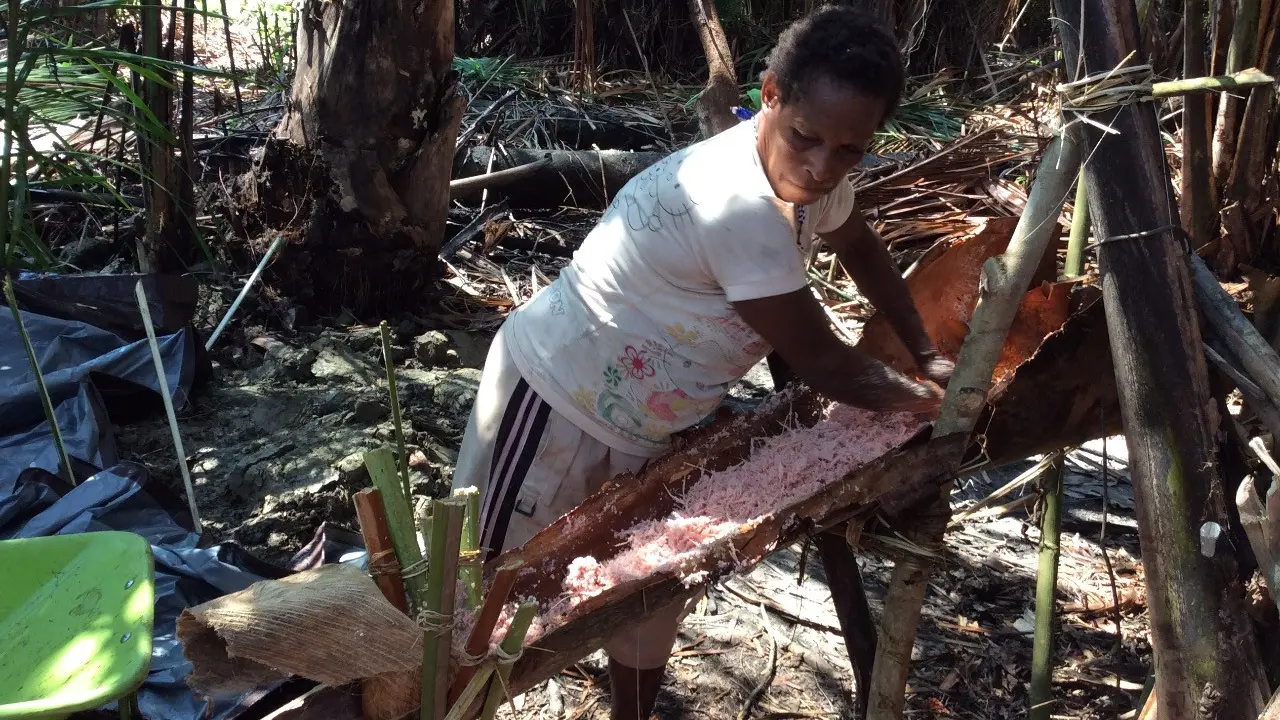 7 Kuliner Papua Berbahan Sagu Paling Populer, Bisa Dibuat di Rumah ...
