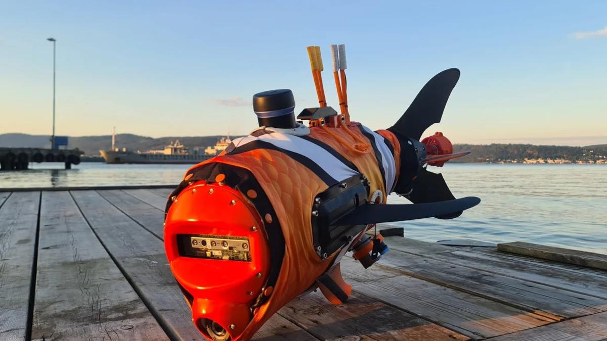 Robot Ikan Nemo Jumbo Diterjunkan ke Air, Ini Manfaatnya Bagi Masa ...