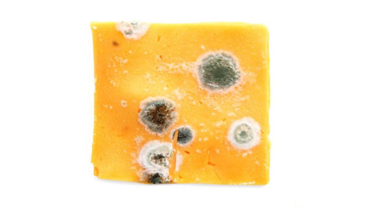 Apakah Makanan Berjamur Harus selalu Dibuang? - Lifestyle Liputan6.com