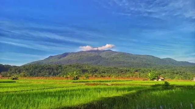 6 Fakta Menarik Gunung Tampomas di Sumedang yang Punya Sumber Air Panas ...