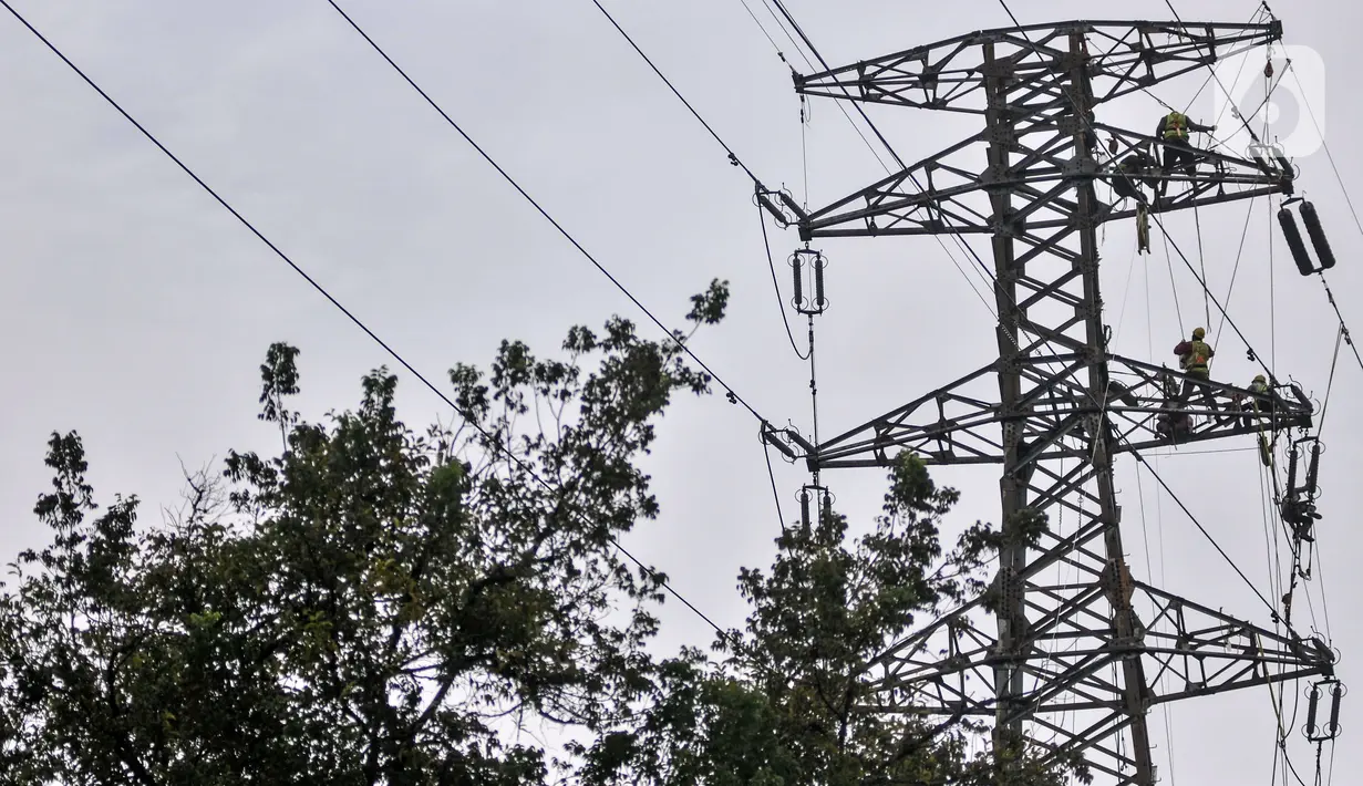 Perbaikan Rutin Jaga Stabilitas Sistem Kelistrikan Menara SUTET - Foto ...