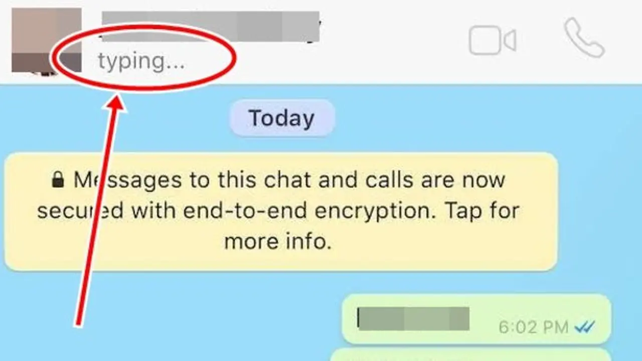 Cara Lenyapkan Status Typing di WhatsApp - Tekno Liputan6.com