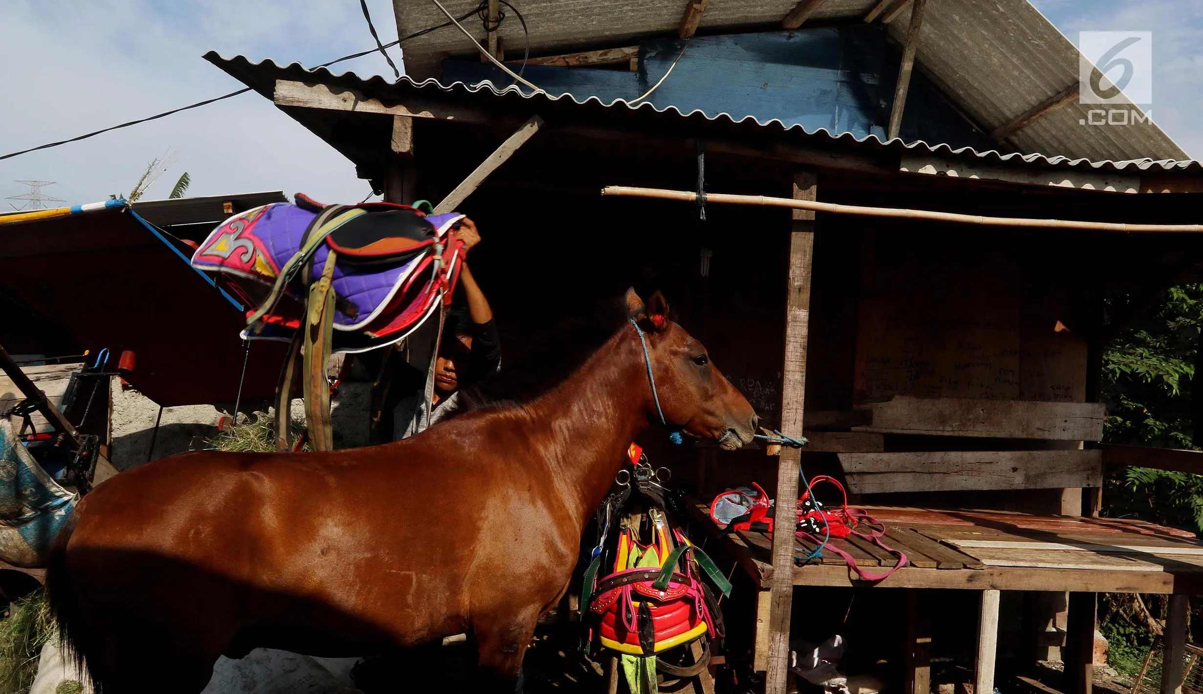 FOTO: Menengok Perkampungan Andong di Jakarta - Foto Liputan6.com
