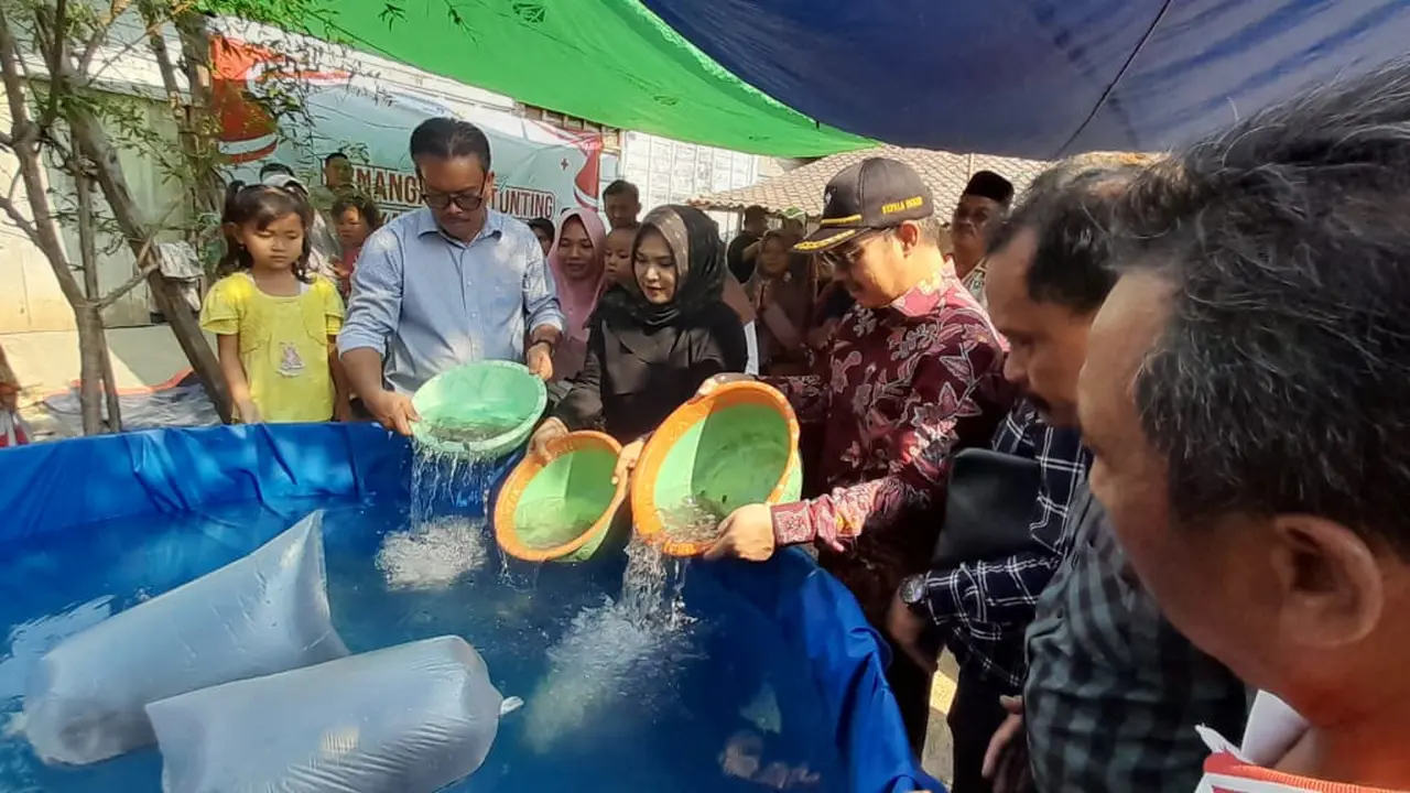 Ketahui Kandungan Nutrisi Ikan Lele, Salah Satu Sumber Protein Hewani ...