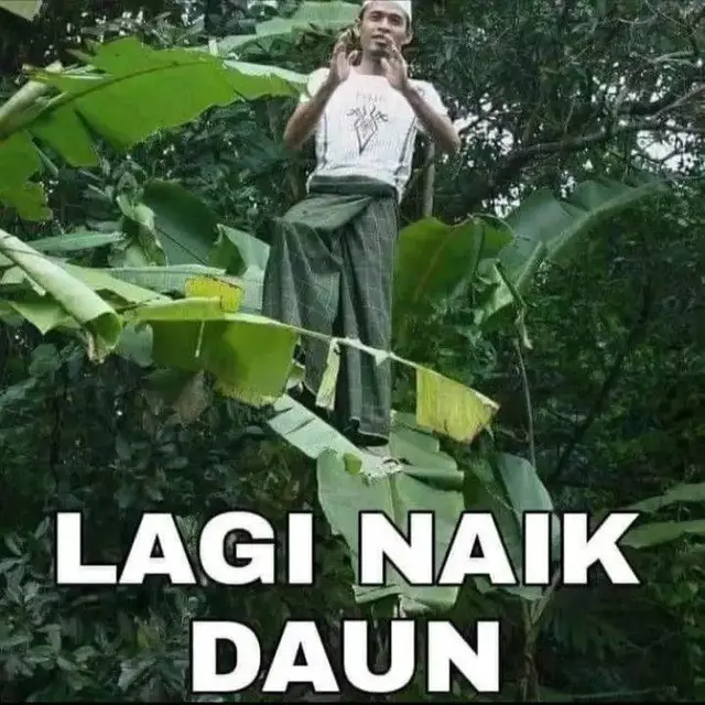6 Meme Absurd yang Punya Makna Ganda Ini Bikin Mikir Keras, Kocak - Hot Liputan6.com