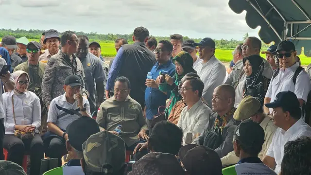 Komisi IV DPR RI Dukung Penuh Lumbung Pangan Merauke - Bisnis Liputan6.com