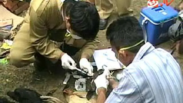 Petugas Ambil Sampel Darah Ayam - News Liputan6.com