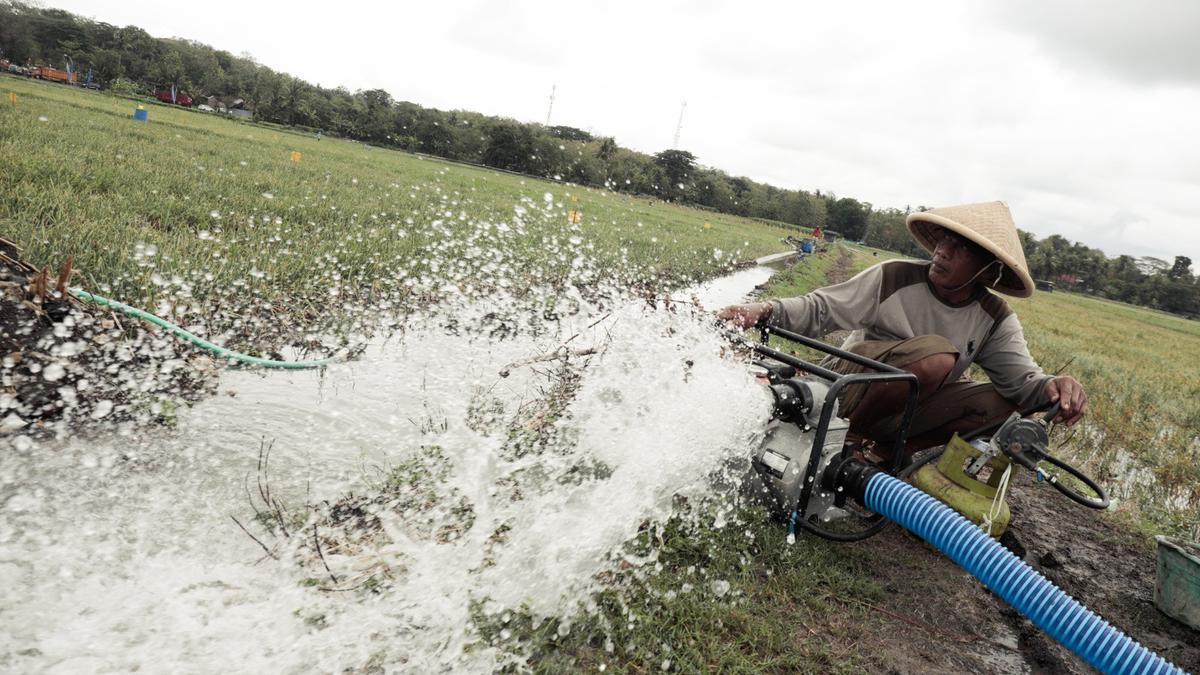 Bantuan Pompa Kementan Selamatkan Lahan Pertanian di 3 Desa dari Kekeringan