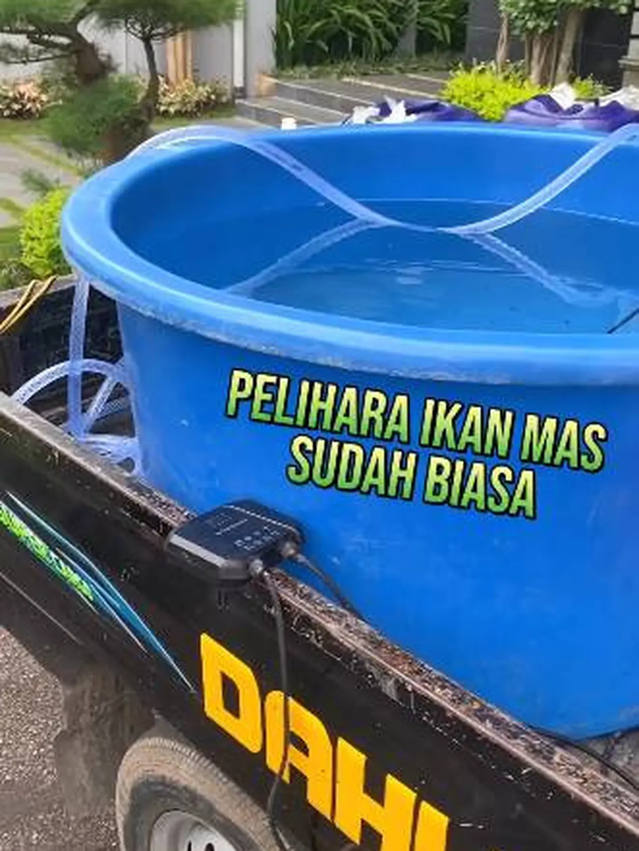 Dikecam Netizen, Ini 6 Potret dr. Richard Lee yang Pelihara Hiu - Hot ...