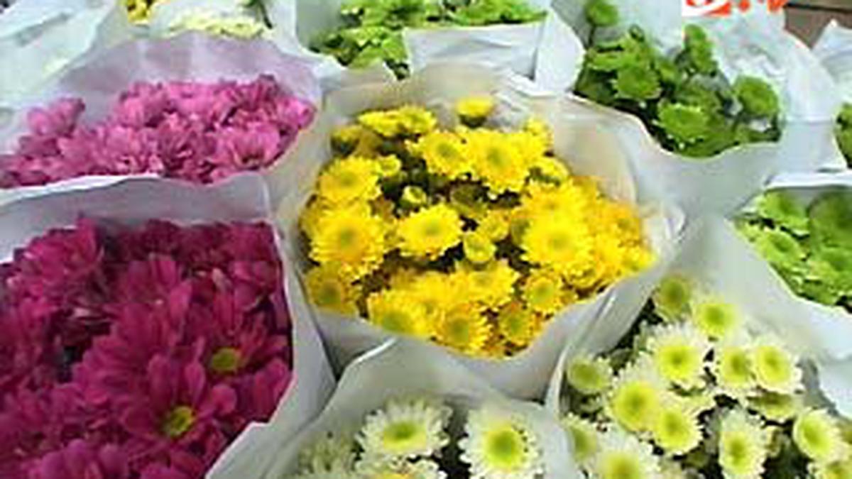 Pasar Bunga Rawa Belong Kebanjiran Pesanan - News Liputan6.com