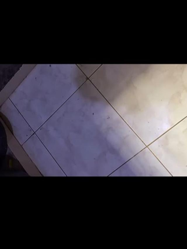 6 Potret Anisa Bahar Alami Kejadian Aneh di Rumah, Muncul Belatung ...