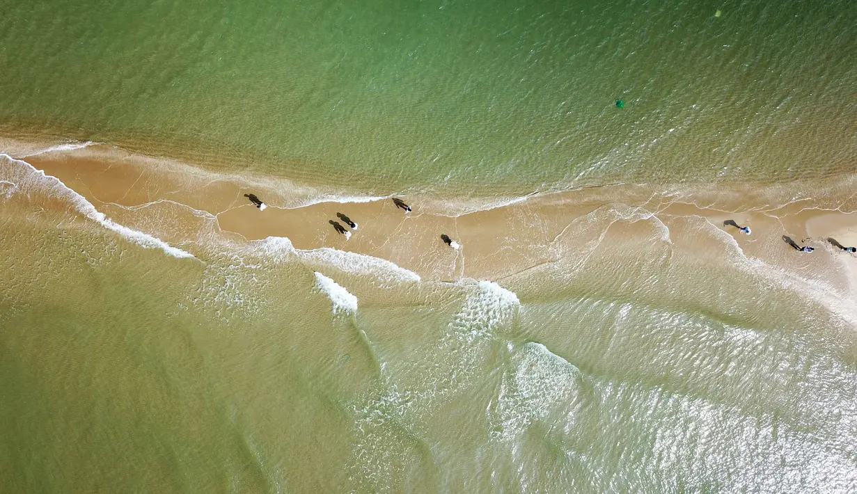 FOTO: Pesona Gosong Pasir yang Jadi Objek Wisata Populer - Foto ...