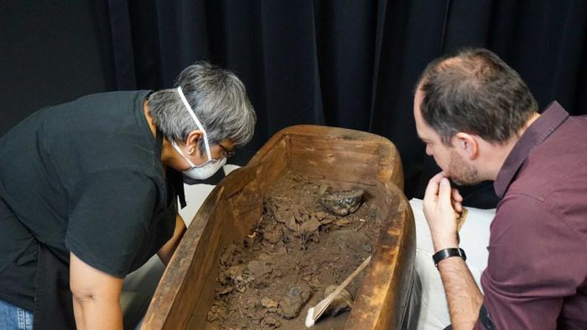 Mumi Berusia 2.500 Tahun Ditemukan di Laboratorium Universitas Sydney ...