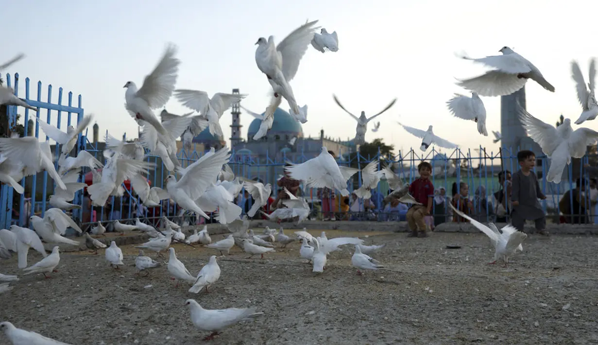 FOTO: Mengunjungi Masjid Biru, Ikon Bangunan Megah di Afghanistan ...
