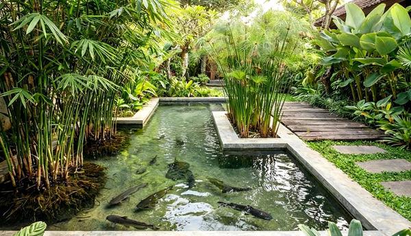 Harga Oppo A31 RAM 6GB di Tahun 2025 dan Spesifikasi Lengkapnya