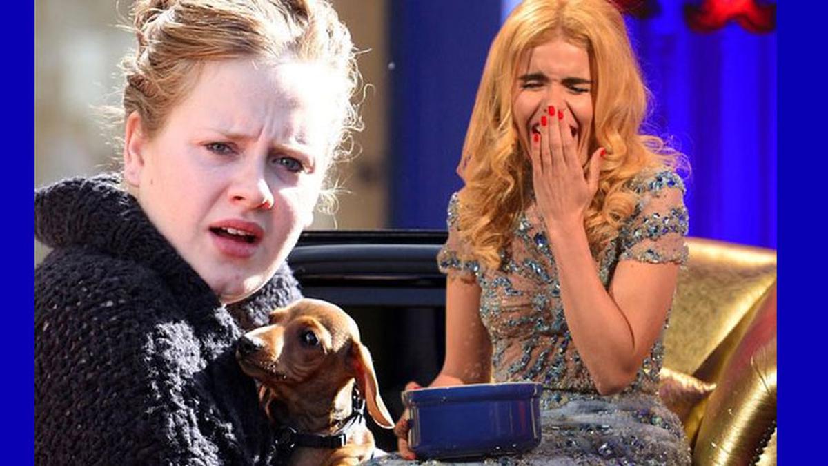 Gara-gara Paloma Faith, Anjing Adele Keracunan Makanan - ShowBiz ...