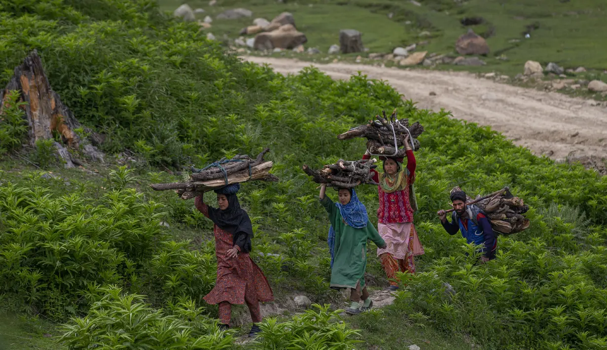 FOTO: Potret Padang Rumput Tosamaidan di Kashmir - Foto Liputan6.com