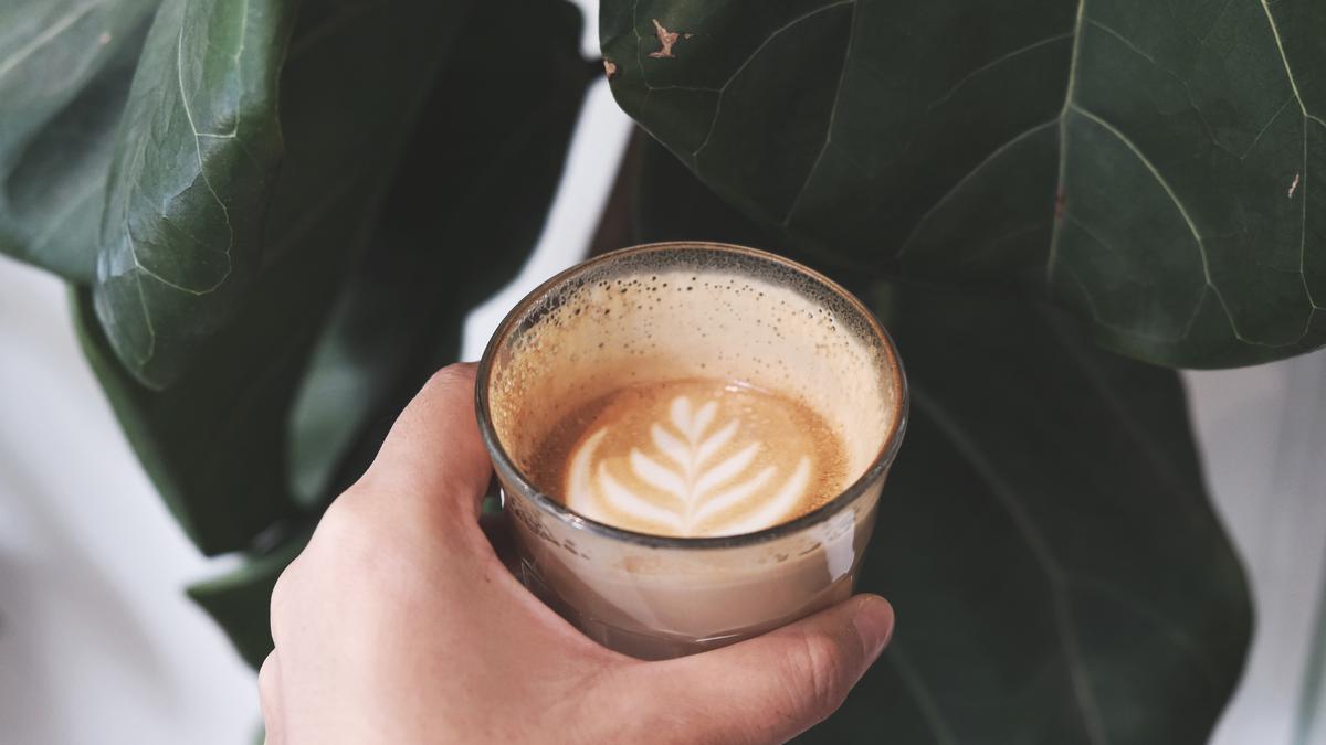 Cara Mudah Membuat Coffee Latte ala Cafe di Rumah dengan Alat Sederhana