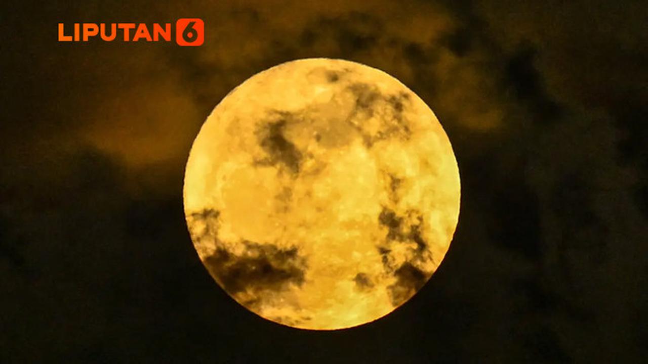 Infografis Fenomena Sturgeon Moon Agustus 2025
