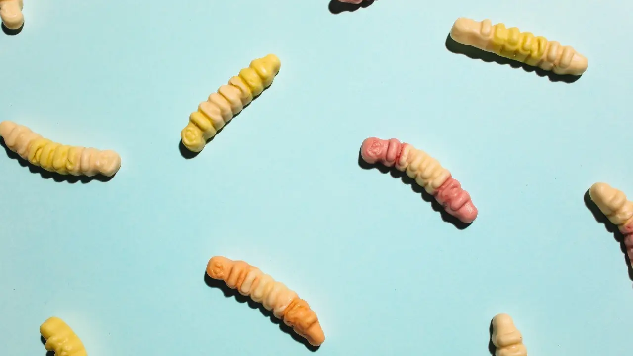 Larva Adalah Serangga yang Berkembangnya Melalui Metamorfosis, Ketahui ...