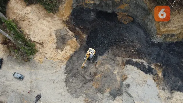 Nasib Orang Utan Kalimantan, Regulasi Konservasi di Tambang Ternyata Belum Ada - Regional ...