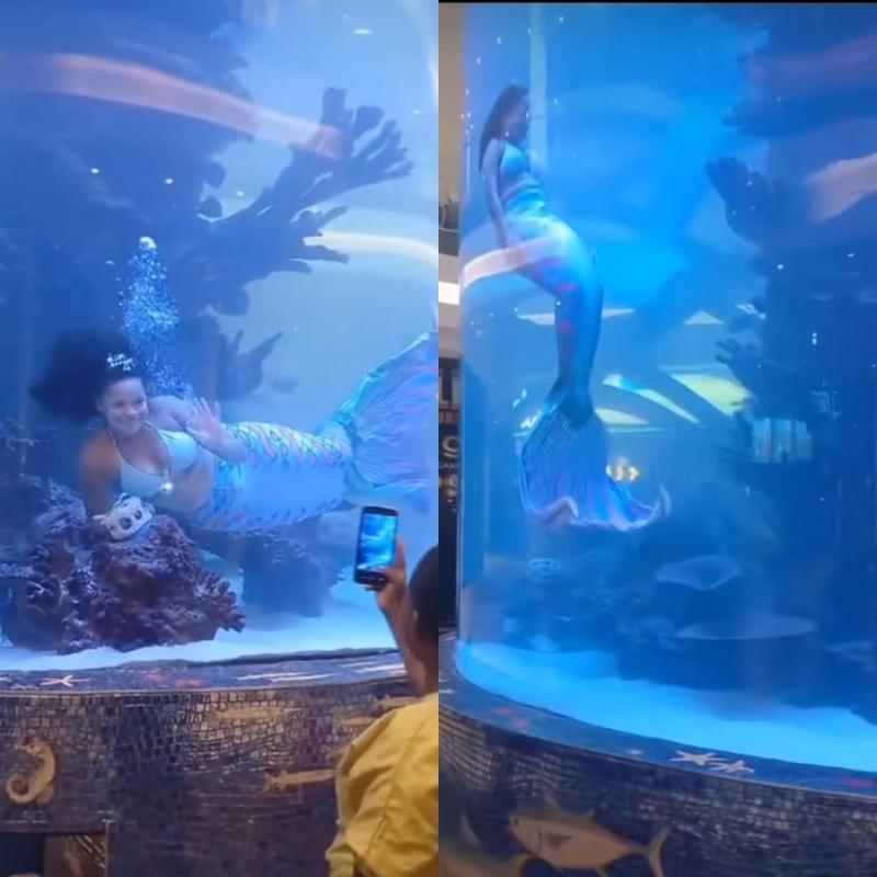 putri duyung makan ikan