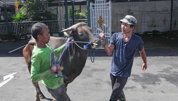 Tepo Seliro adalah Sikap Tenggang Rasa dan Empati, Begini Penerapannya ...