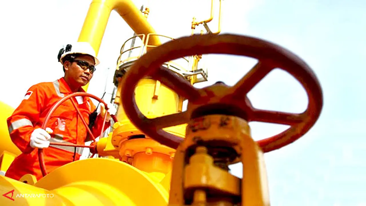 Singapura Sangat Bergantung Pada Gas Indonesia - Bisnis Liputan6.com