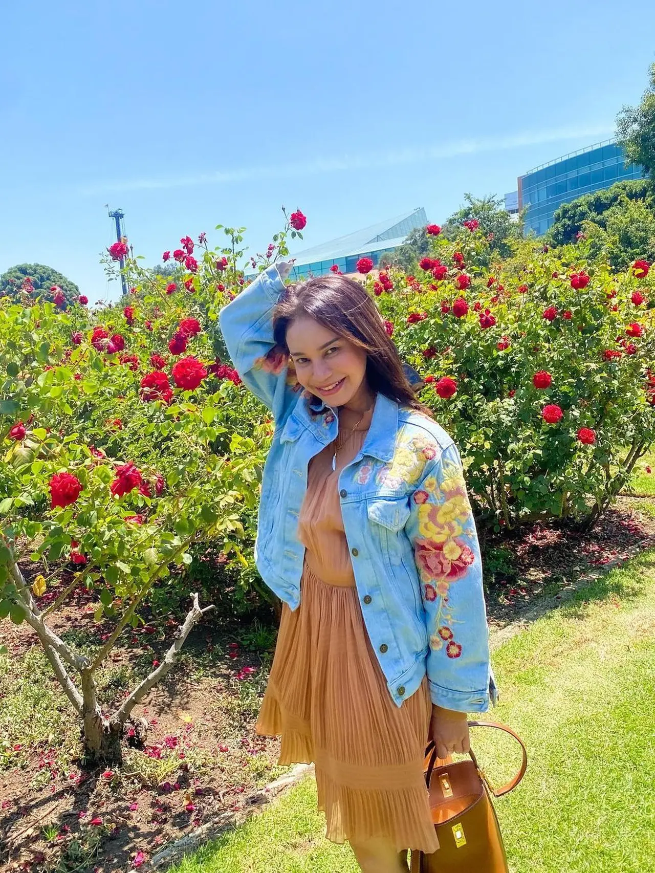 Rossa Jelaskan Soal Nugget Dinosaurus dalam Unggahan Reza Arap ...