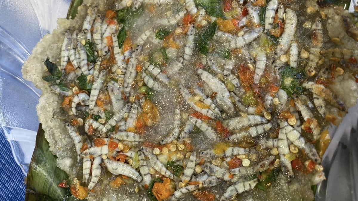 Ilepao, Kuliner Musiman Khas Pesisir Gorontalo dari Larva Ikan Nike ...