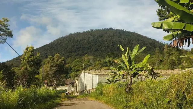 6 Fakta Menarik Gunung Pohen di Bali yang Merupakan Cagar Alam Batukahu ...