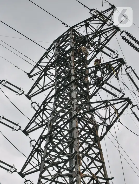 Perbaikan Rutin Jaga Stabilitas Sistem Kelistrikan Menara SUTET - Foto ...