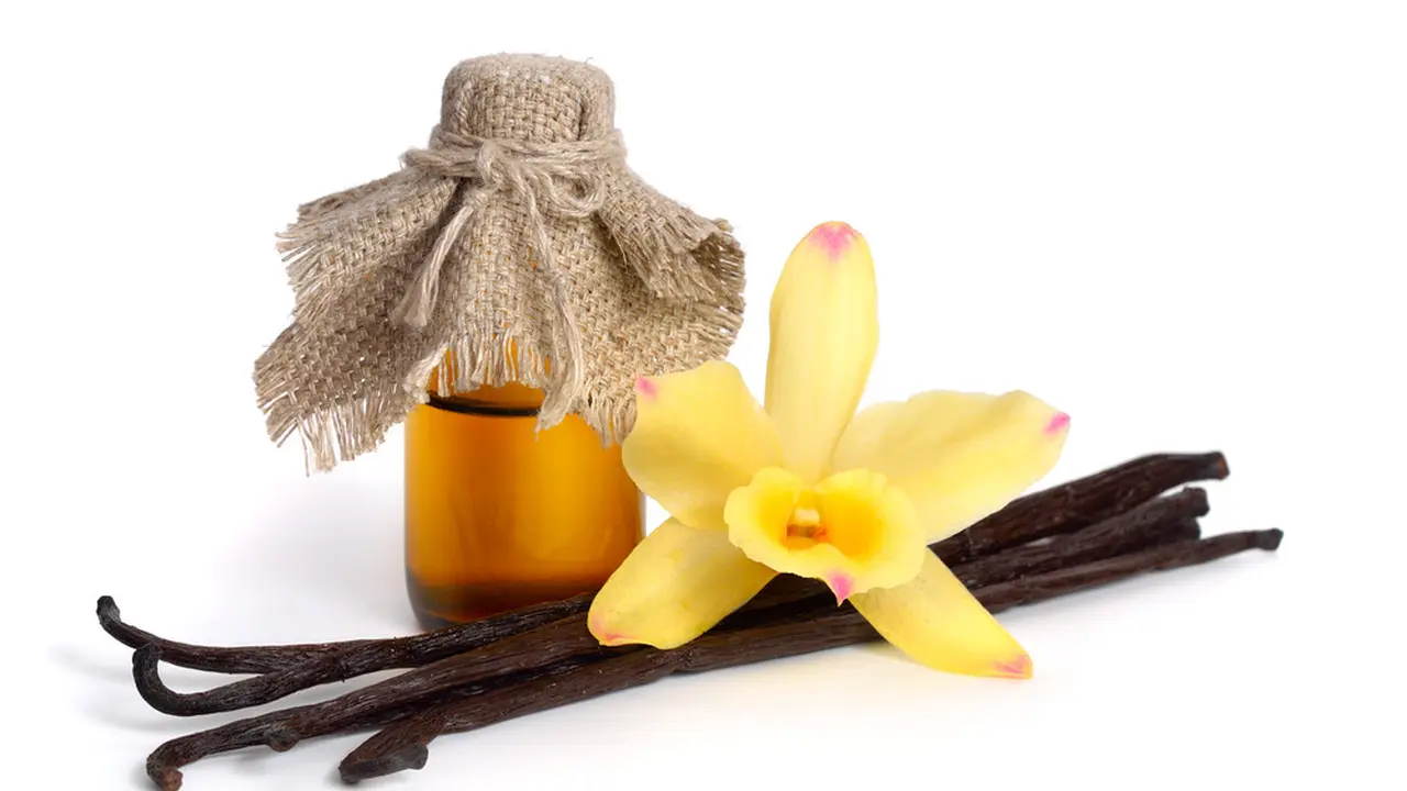 Jenis Aroma yang Wajib Diketahui Sebelum Menentukan Parfum Kesukaan