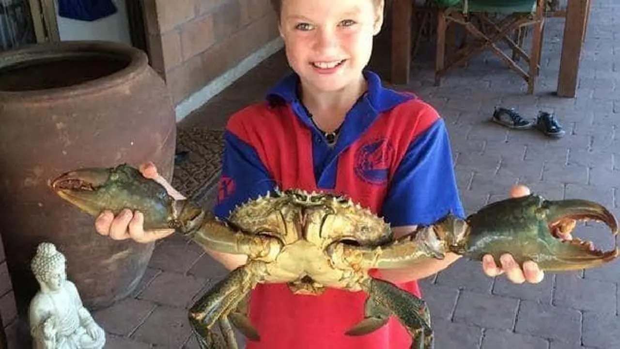 5 Jenis Kepiting Terbesar di Dunia, Ada yang Mencapai 39 Kg - Citizen6 ...