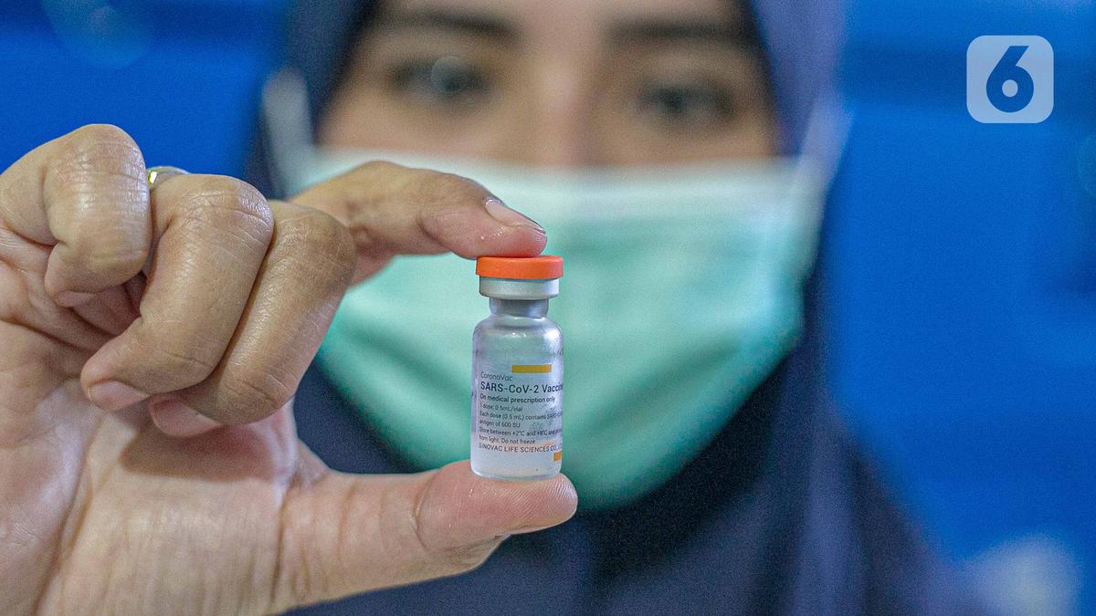 Registrasi Vaksinasi Covid-19 via WhatsApp di Indonesia Jadi yang ...