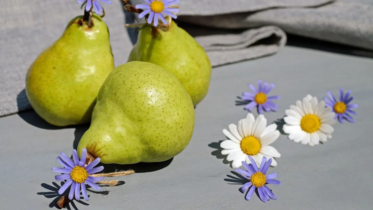 13 Manfaat Buah Pir Hijau, Jaga Berat Badan Ideal dan Tingkatkan ...