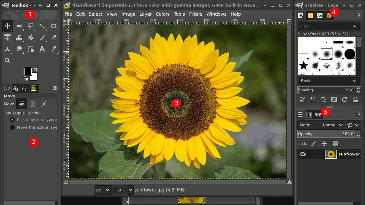 5 Aplikasi Editing Foto Gratis Terbaik Tahun 2024 - Citizen6 Liputan6.com