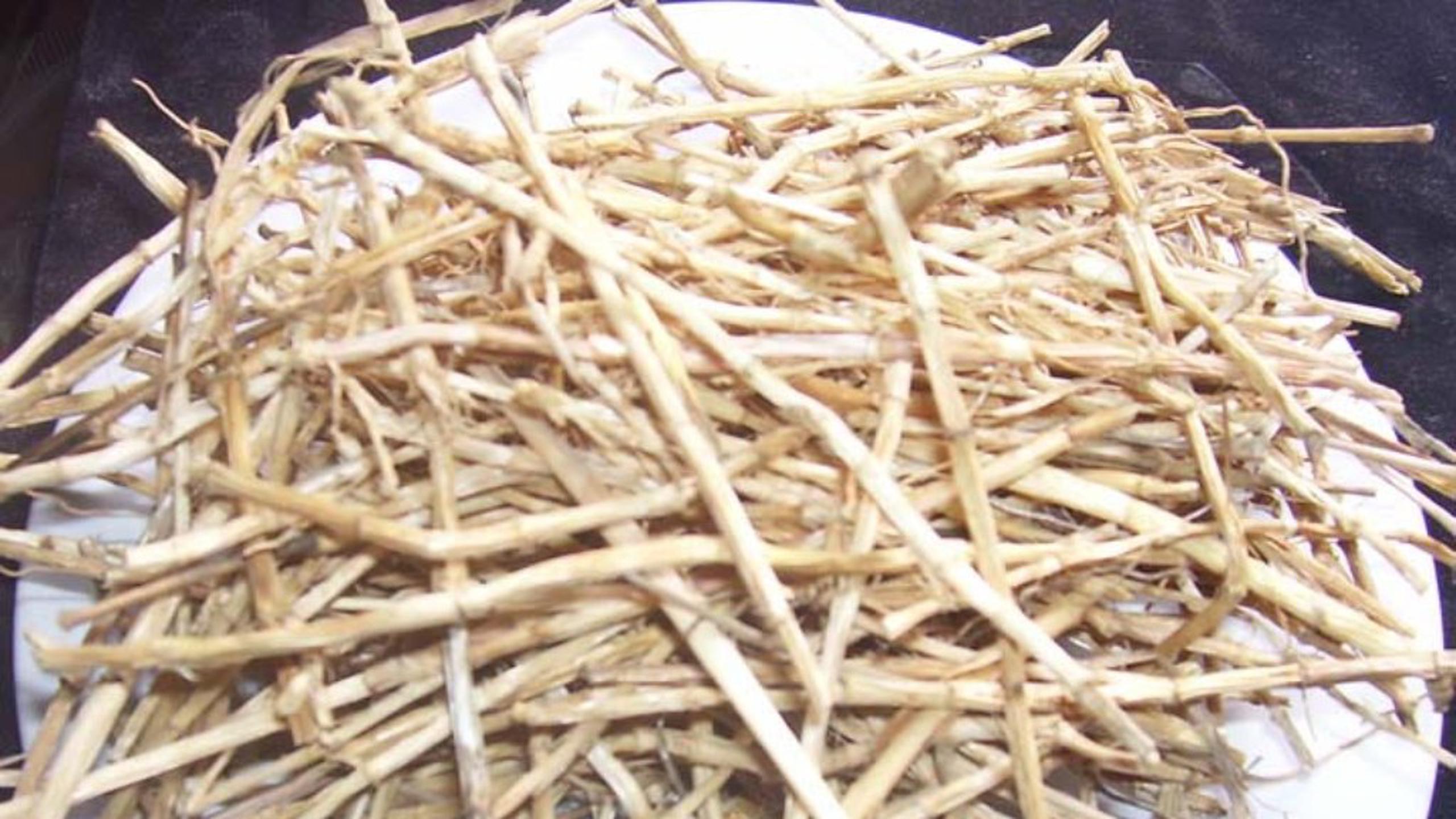 Cara Merebus Akar Alang-Alang, Rasakan 7 Manfaatnya