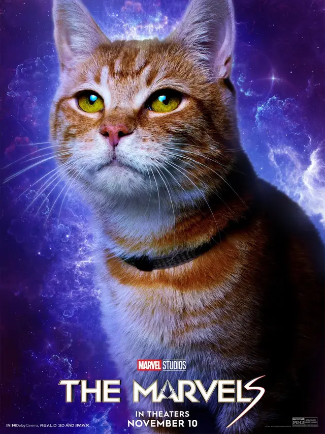 5 Fakta Pemeran Goose di Film The Marvels, Si Kucing Oyen yang Ternyata ...