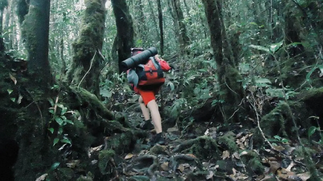 6 Fakta Menarik Gunung Halau-Halau di Kalimantan Selatan yang Dianggap ...