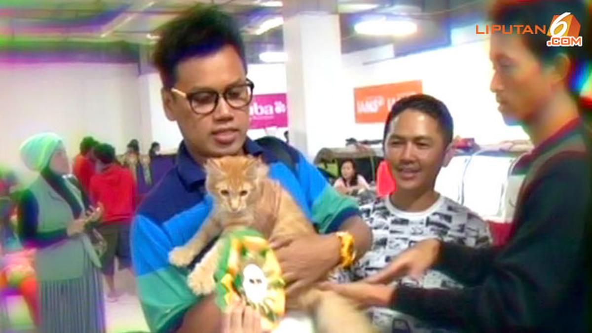 [VIDEO] Duh Senangnya Keluarga Uya Kuya Saat Kontes Kucing - ShowBiz ...