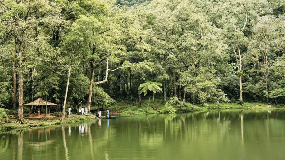 15 Tempat Wisata di Puncak Bogor dan Sekitarnya, Terbaru dan Lagi Hits - Hot Liputan6.com