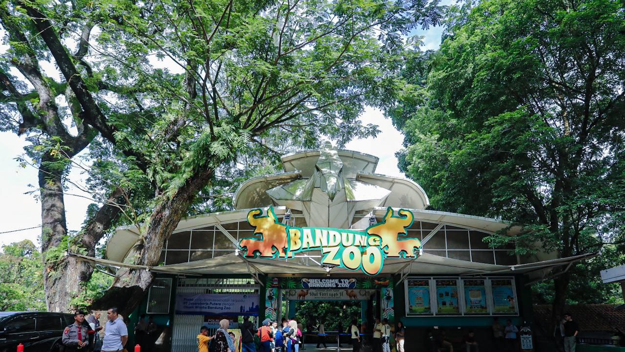 Kemenhut Cabut Izin Lembaga Konservasi Bandung Zoo!