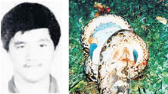 3 Tragedi Ular Piton Telan Warga Bulat-Bulat yang Paling Tragis