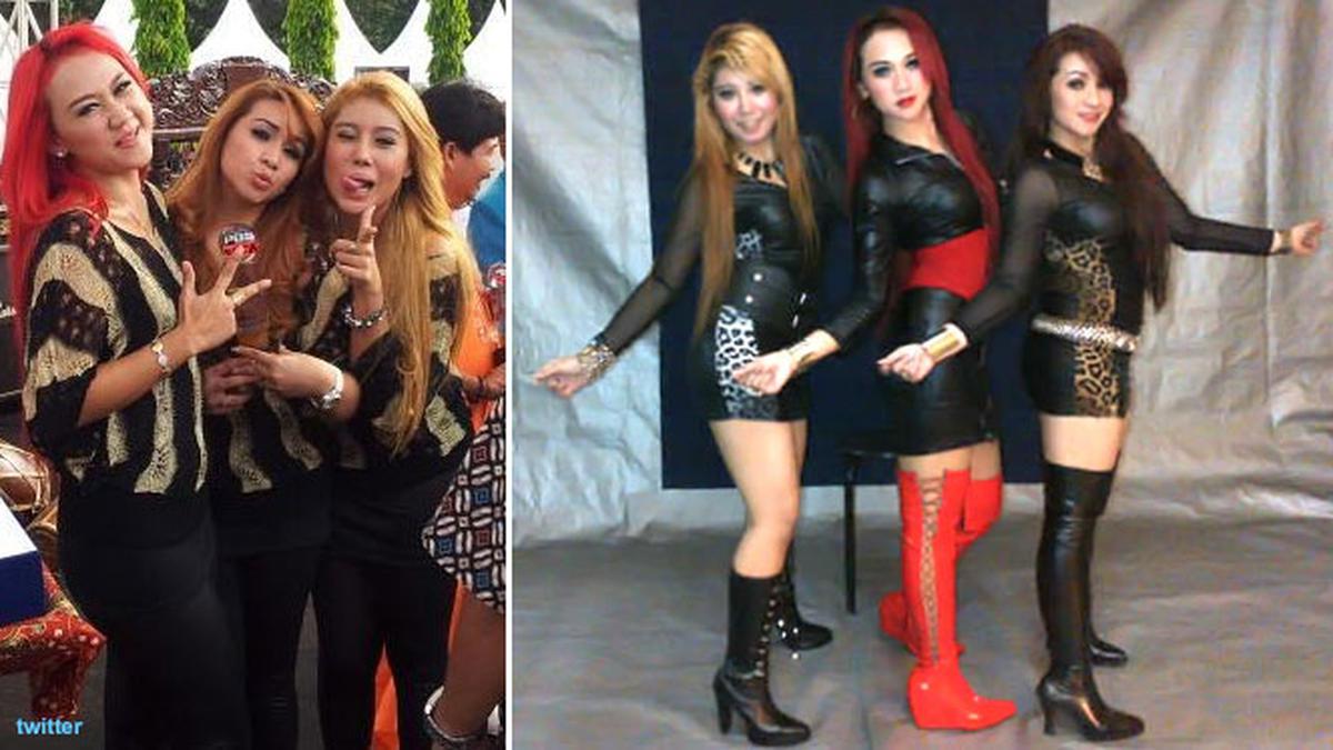 Terus Dihina, 3 Kucing Semakin Nyaring - ShowBiz Liputan6.com